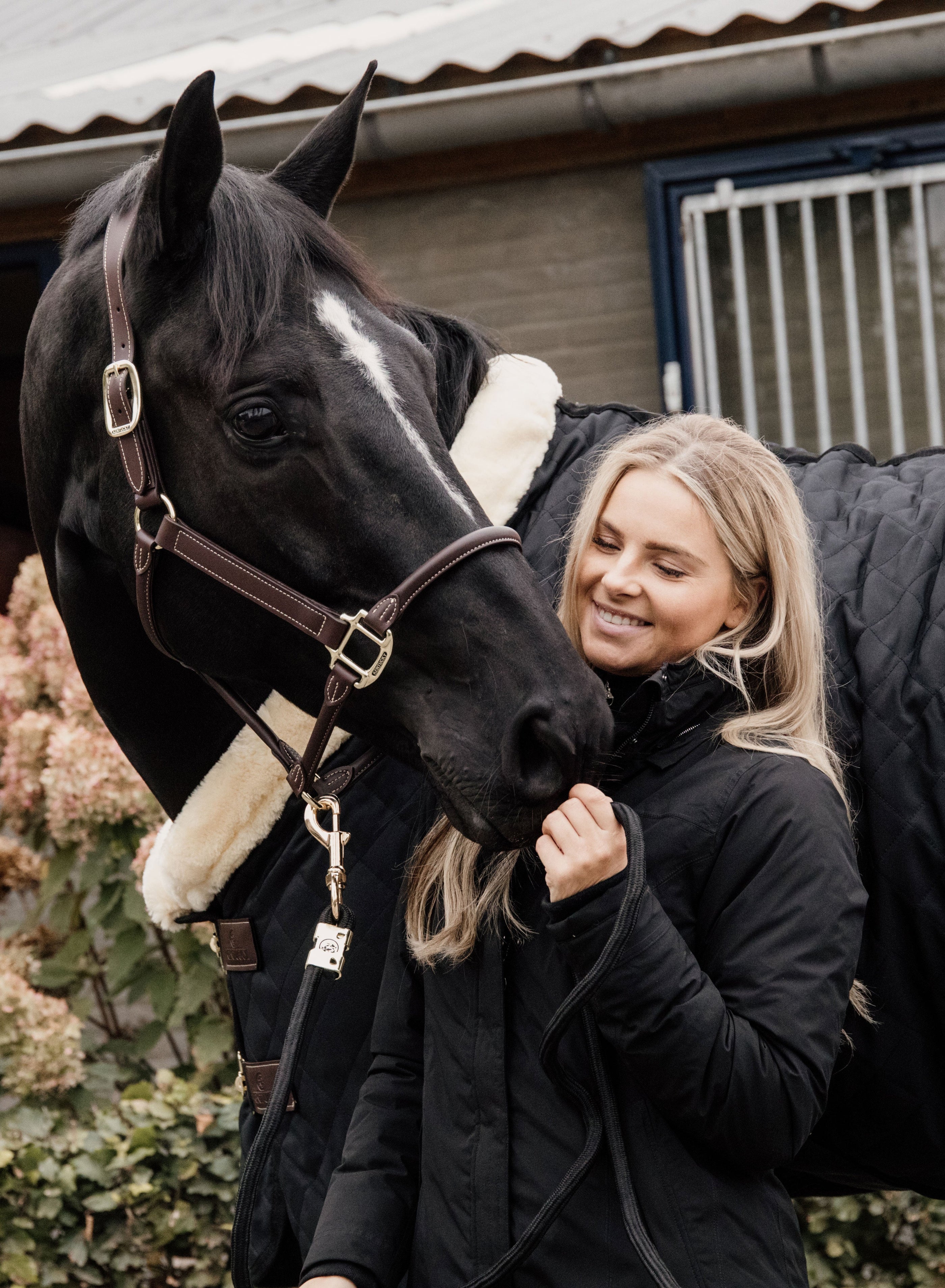 Equitogs · Equitogs